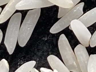 Rice Analyzer Object Detection Dataset by Mostafa Zainy