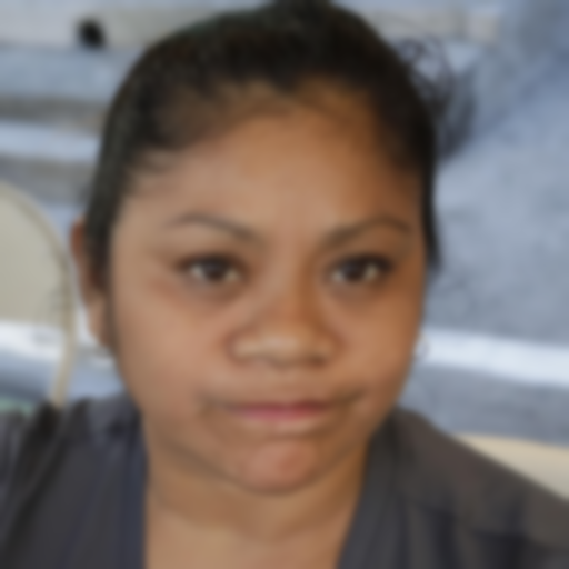 person_blur Classification Model by MT LATEST