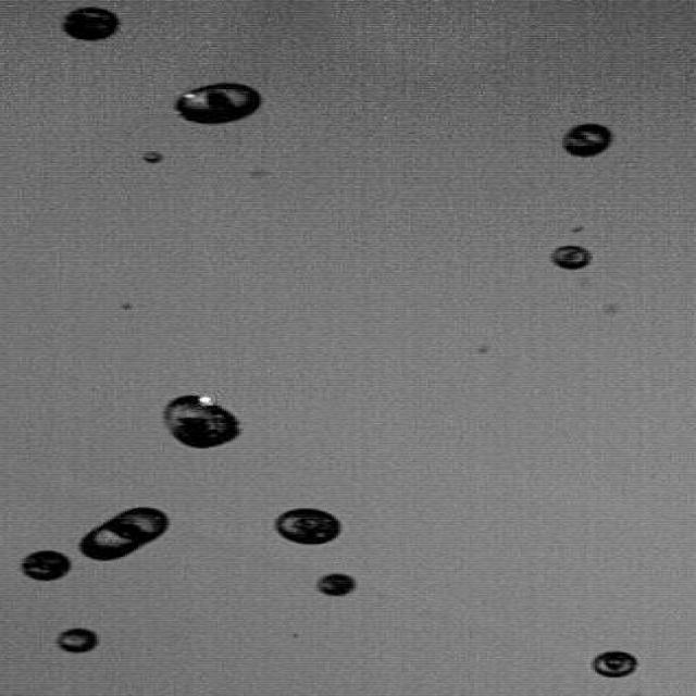 Droplet Hr 2 Lr Train Object Detection Dataset By Object Detection