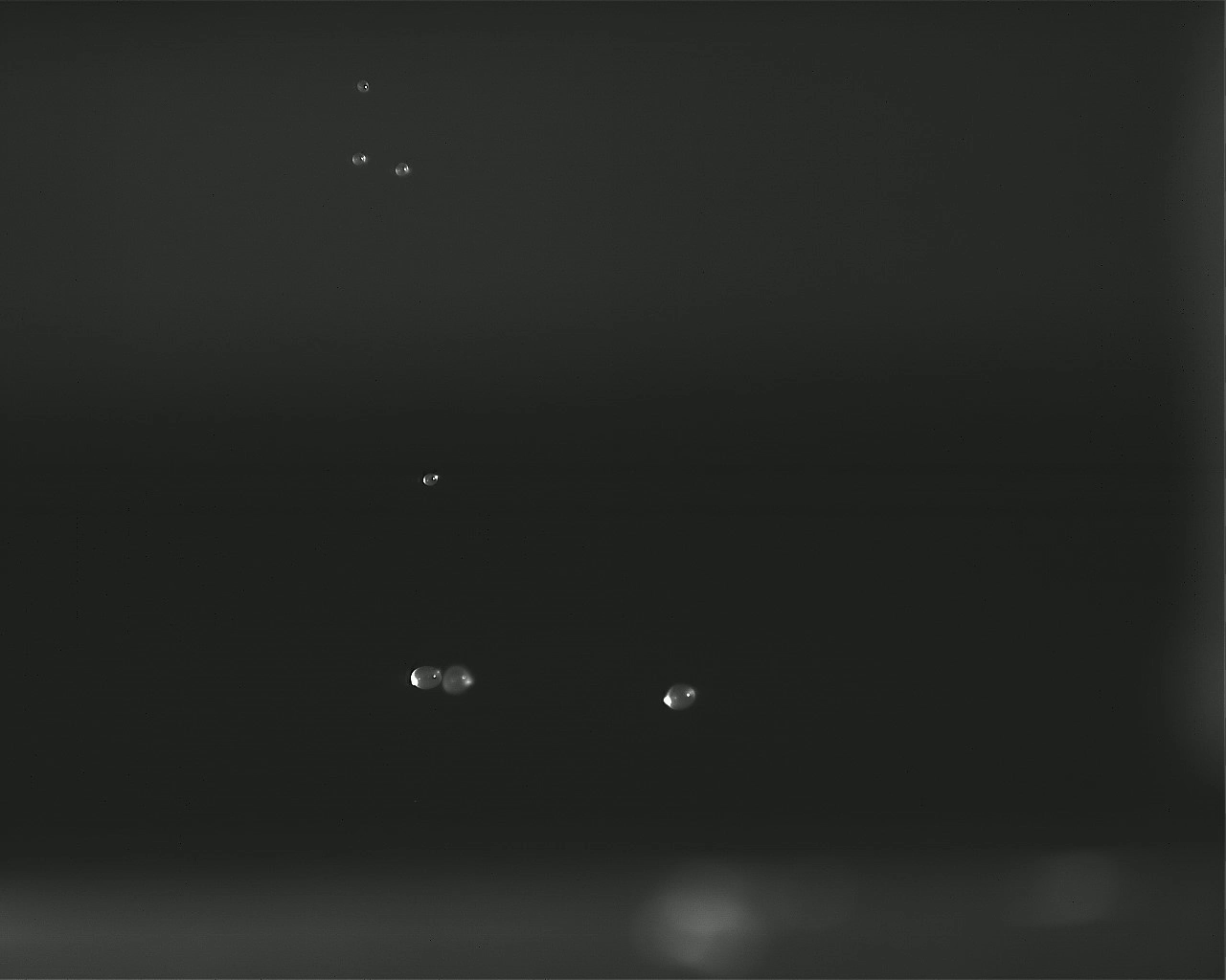 Droplet Detection Combined Object Detection Dataset by object detection Droplet Detection Combined Object Detection Dataset by object detection