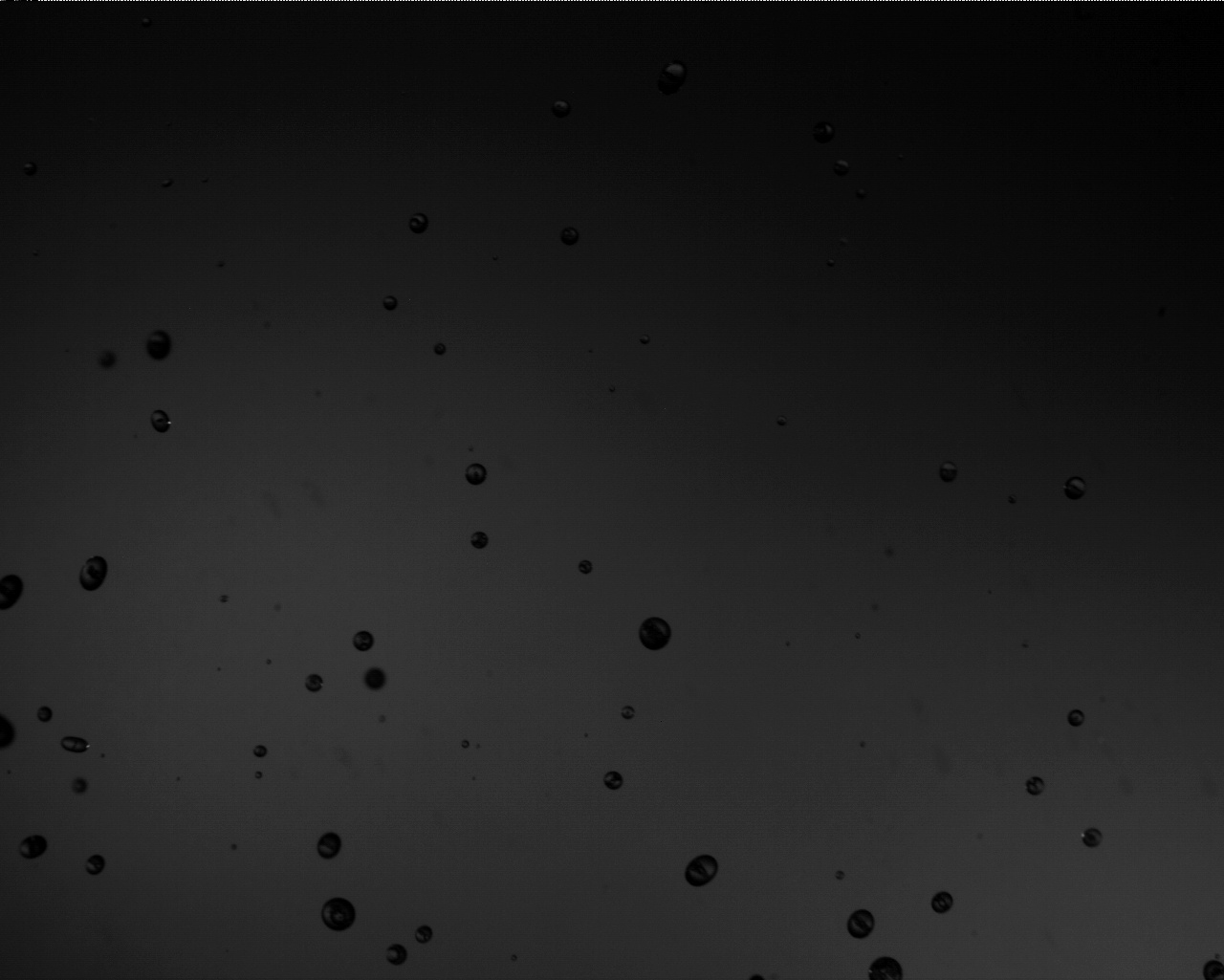 Test Object Detection Dataset And Pre Trained Model By Object Detection