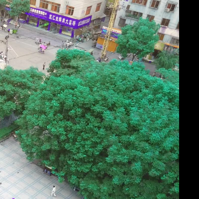 Remote Sensing Images Object Detection Dataset By New Workspace Zecmk