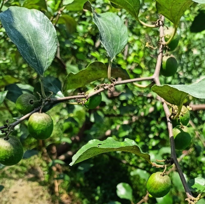 Object detection (object-detection-ga8tf) - Roboflow Universe