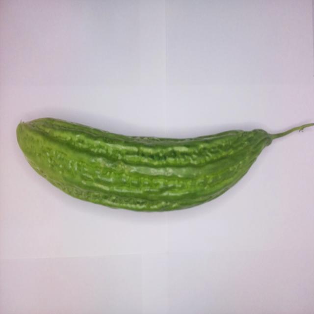 train_YOLOv8 Instance Segmentation Dataset by Julian