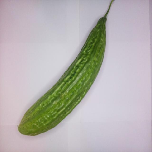 valid_YOLOv8 Instance Segmentation Dataset by Julian