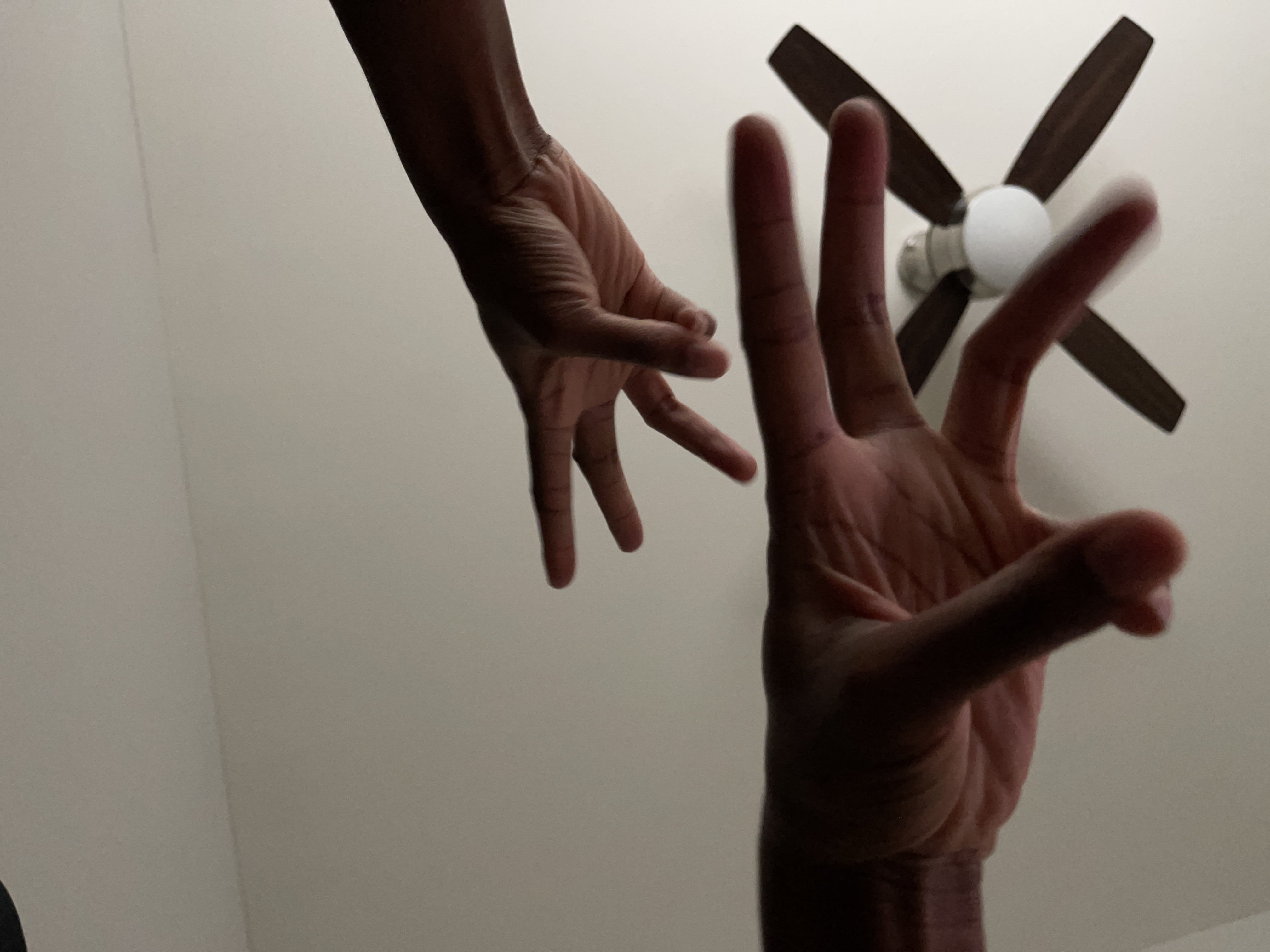 Hand detection Object Detection Model by Sandra Dweh