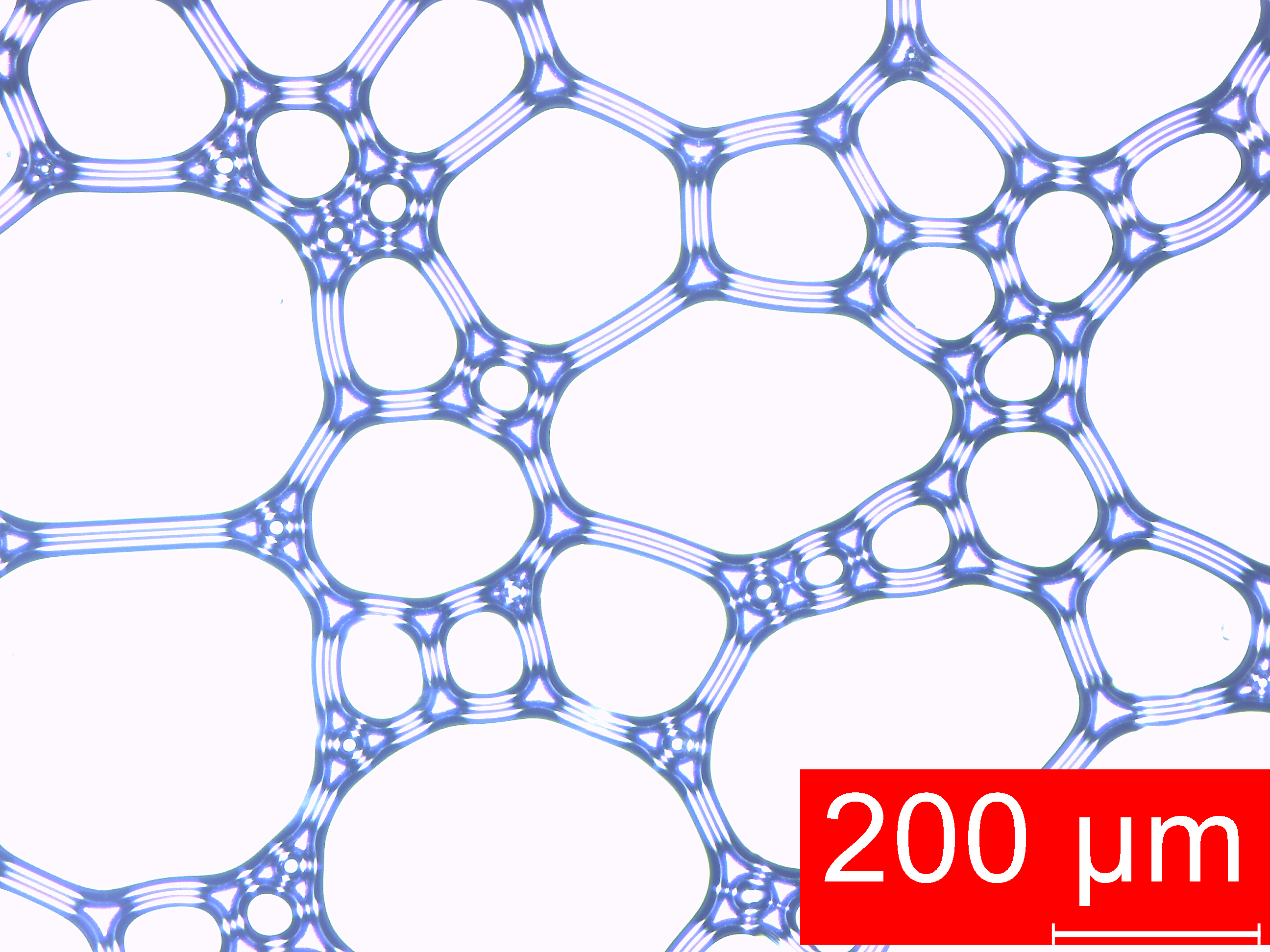 Bubble Object Detection Dataset by UndergraduateDesign