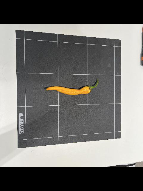 pepper_0 Object Detection Dataset by wang an yuan