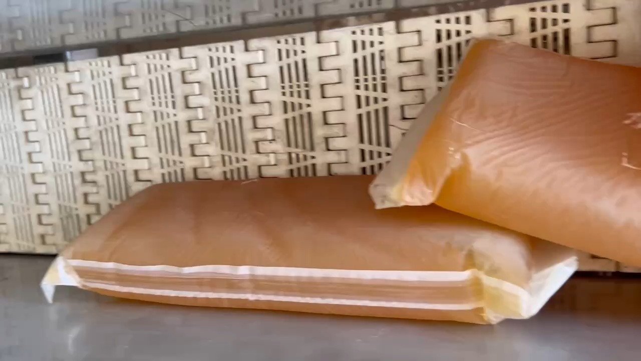 PSA_SEG Instance Segmentation Dataset by PSA object