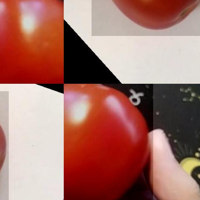 Tomato classifictaion using YOLO Object Detection Model by Tomato quality assesment using YOLO