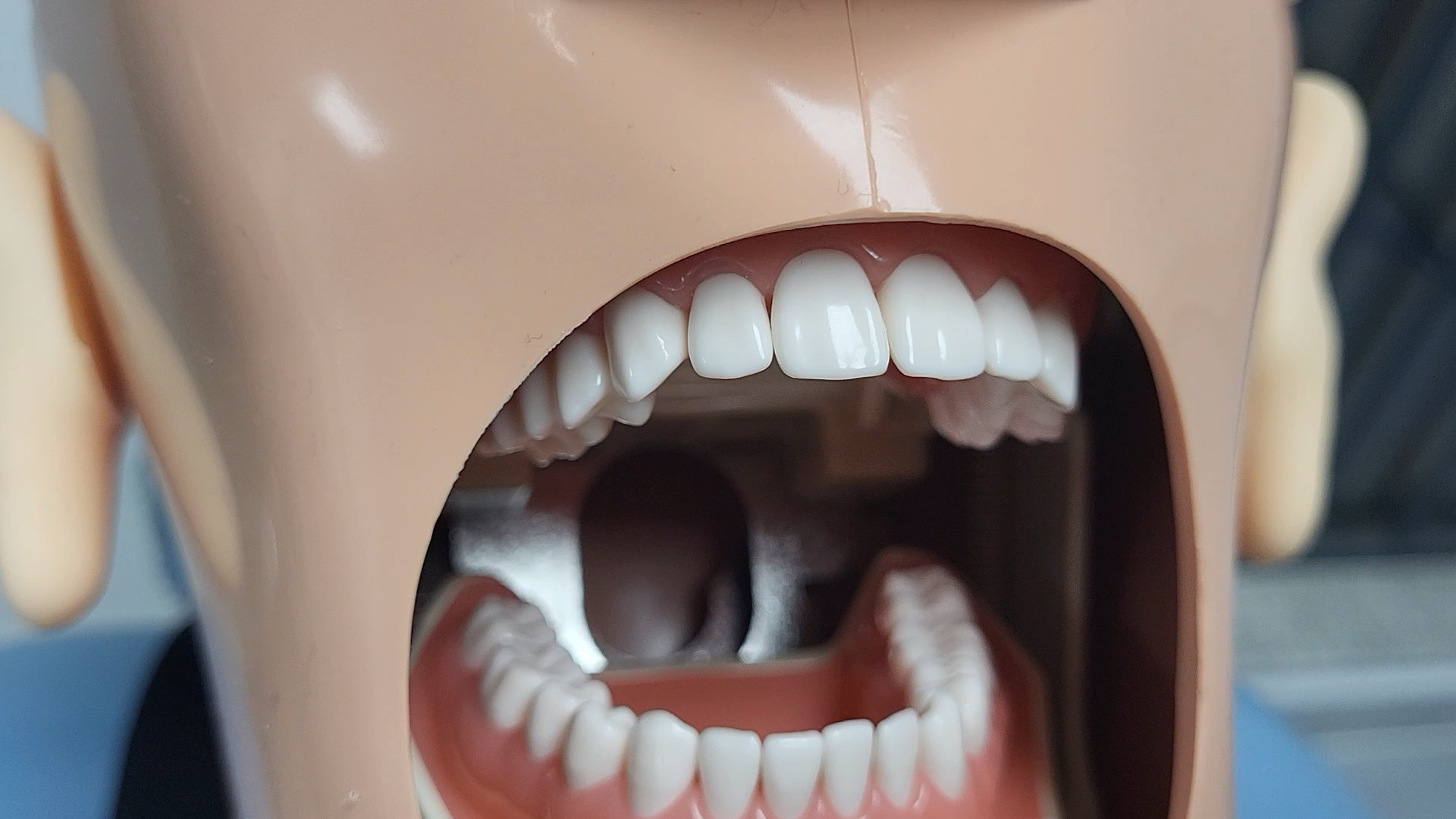 Teeth Instance Segmentation Instance Segmentation Dataset And Pre Trained Model By Shenzhen