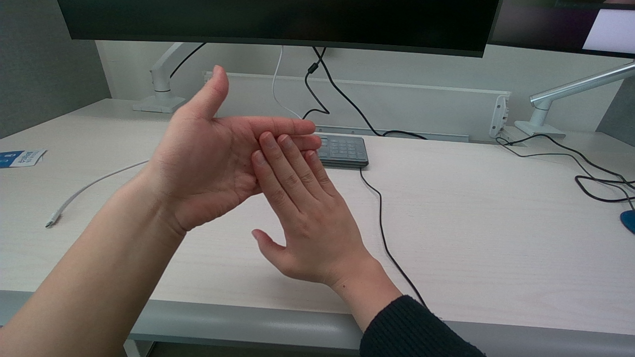 all_annot_interacting Object Detection Dataset by hands