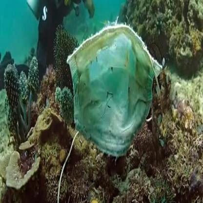 Marine_Debris Object Detection Model by MarineDebris
