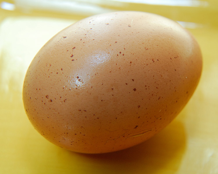 eggs Object Detection Dataset by yolov5