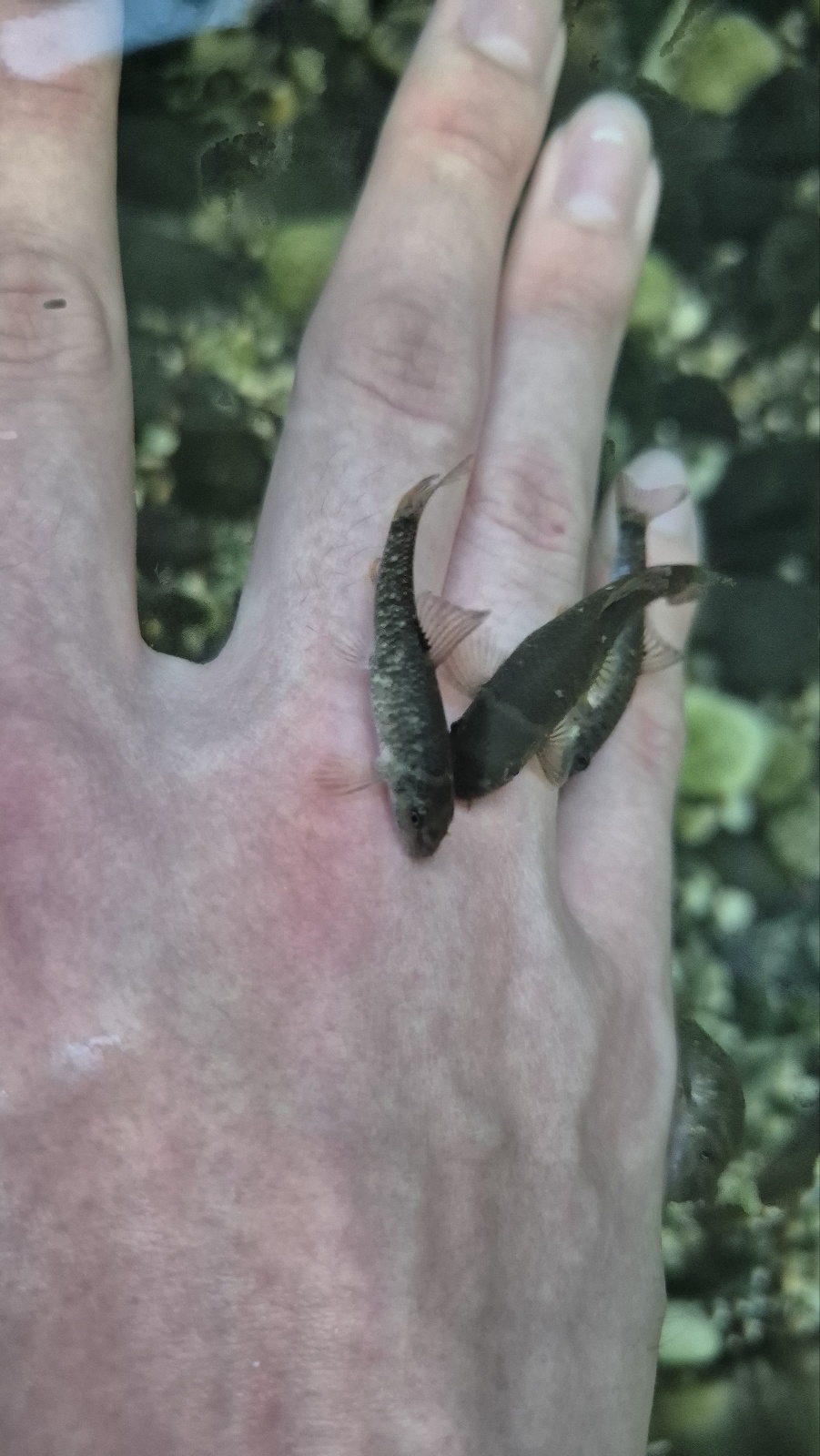 practice (practice-naqkp) - Roboflow Universe