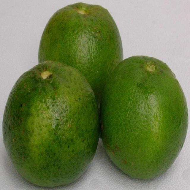 Instance Segmentation Test Instance Segmentation Dataset and Pre ...