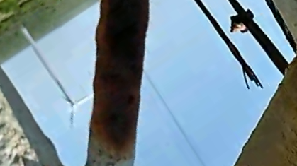 rust Object Detection Model by Jean