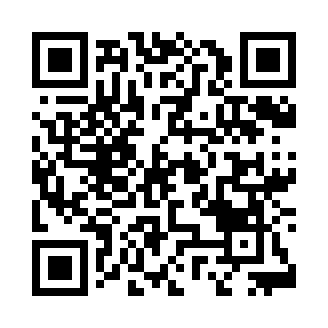 qr Object Detection Dataset by uav