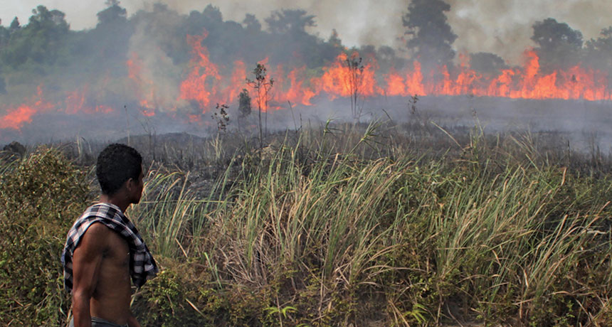 Forest fire Classification Model by Test
