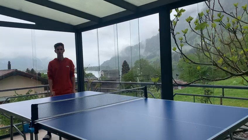 How To Use The Ping Pong Tracker Object Detection Api