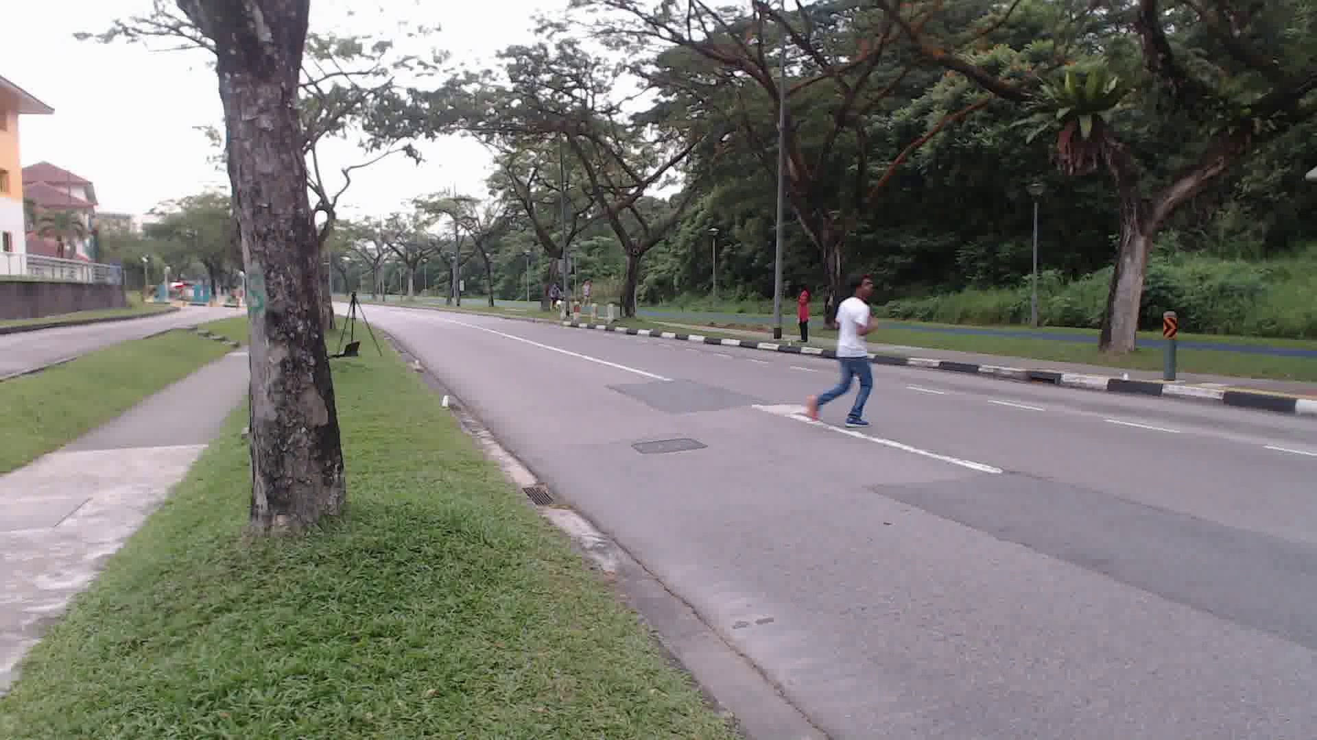 Ntu Crossing Object Detection Dataset By Vlsi Lab