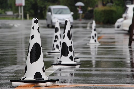 brandonio - Roboflow Universe