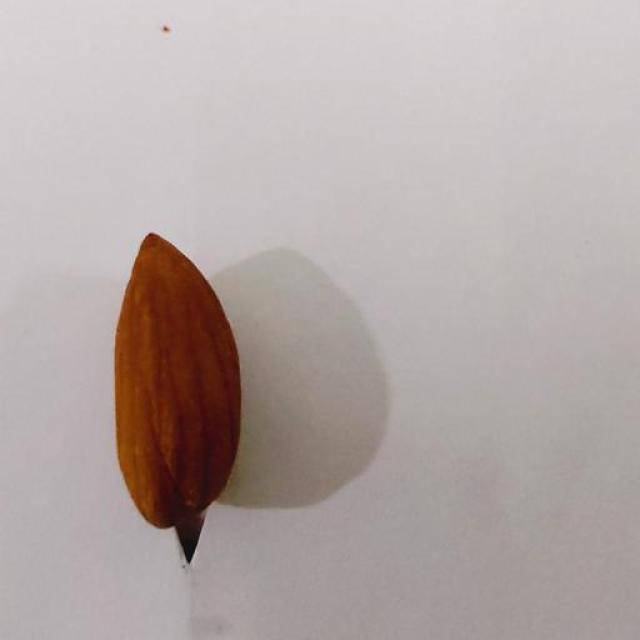 dryfruit segmentation Instance Segmentation Model by dry fruit segmentation