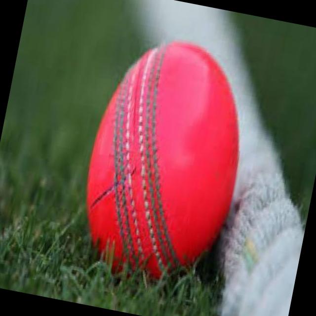 Ball Model Object Detection Dataset And Pre Trained Model By Ballmodel