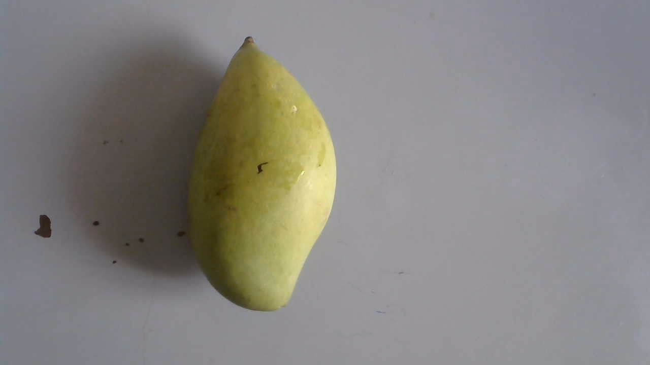 Mango Ripening Stages Object Detection Dataset and Pre-Trained Model by Sri Ramakrishna ...