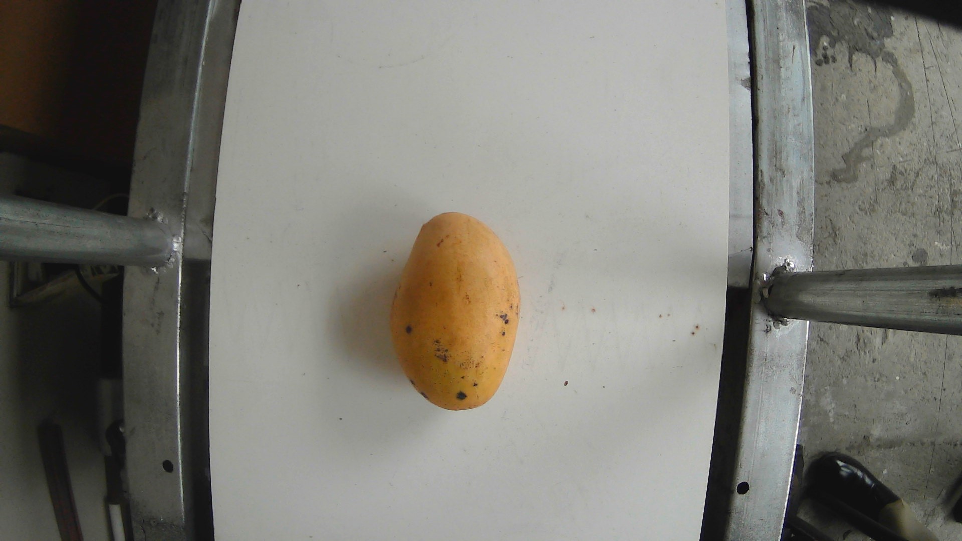 Thesis Object Detection Dataset and Pre-Trained Model by Cef