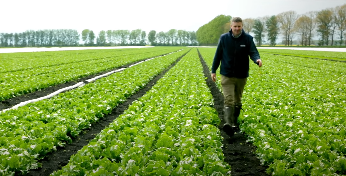 Bitki Turleri Object Detection Dataset By M A