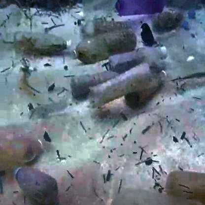 underwater-trash Object Detection Model by i hc cn th