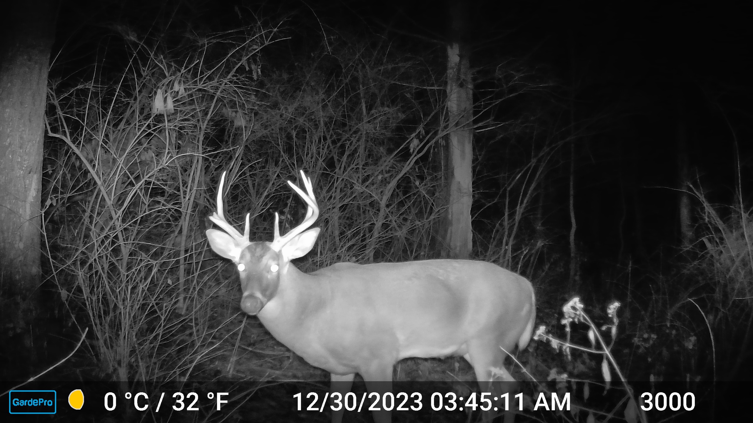 Into the Vale Object Detection Model by Vale Outdoors