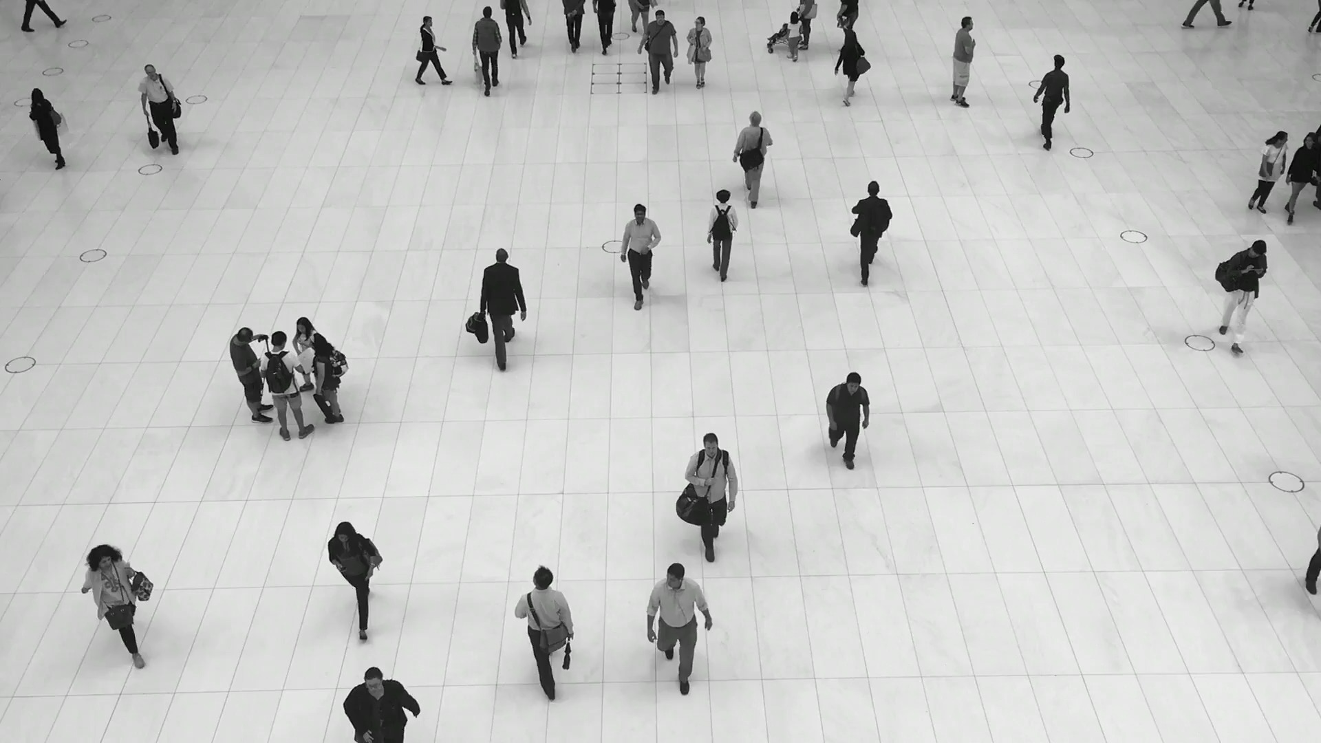 HAR-CV Instance Segmentation Dataset by bloodsampledetailes