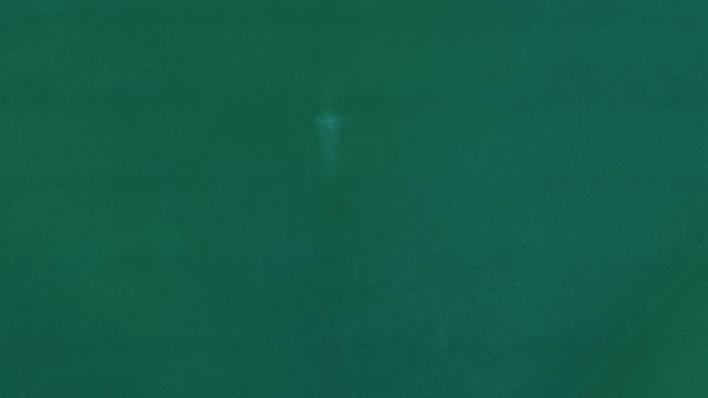 Fabric Defect Object Detection Dataset By Marwa Sakhreya