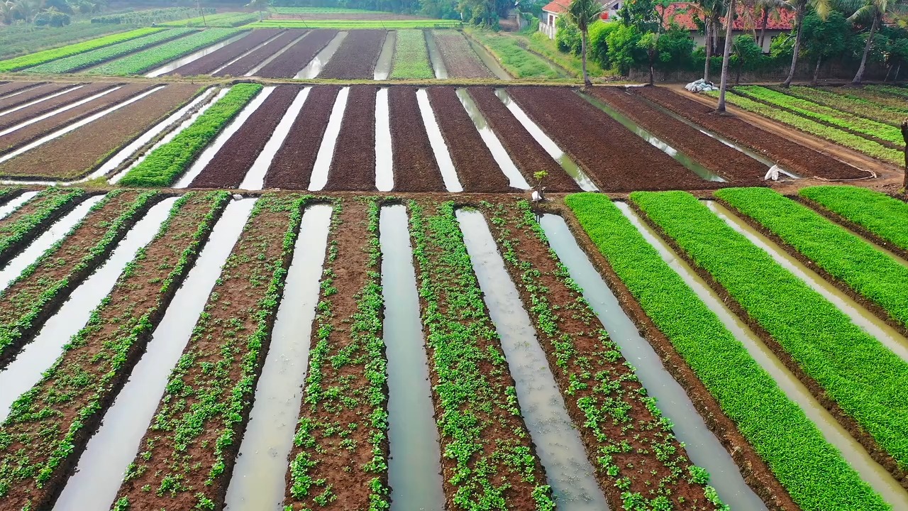 Crops Instance Segmentation Dataset by parth mahakal