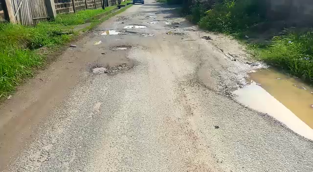Pothole Detection Object Detection Model By Aegis