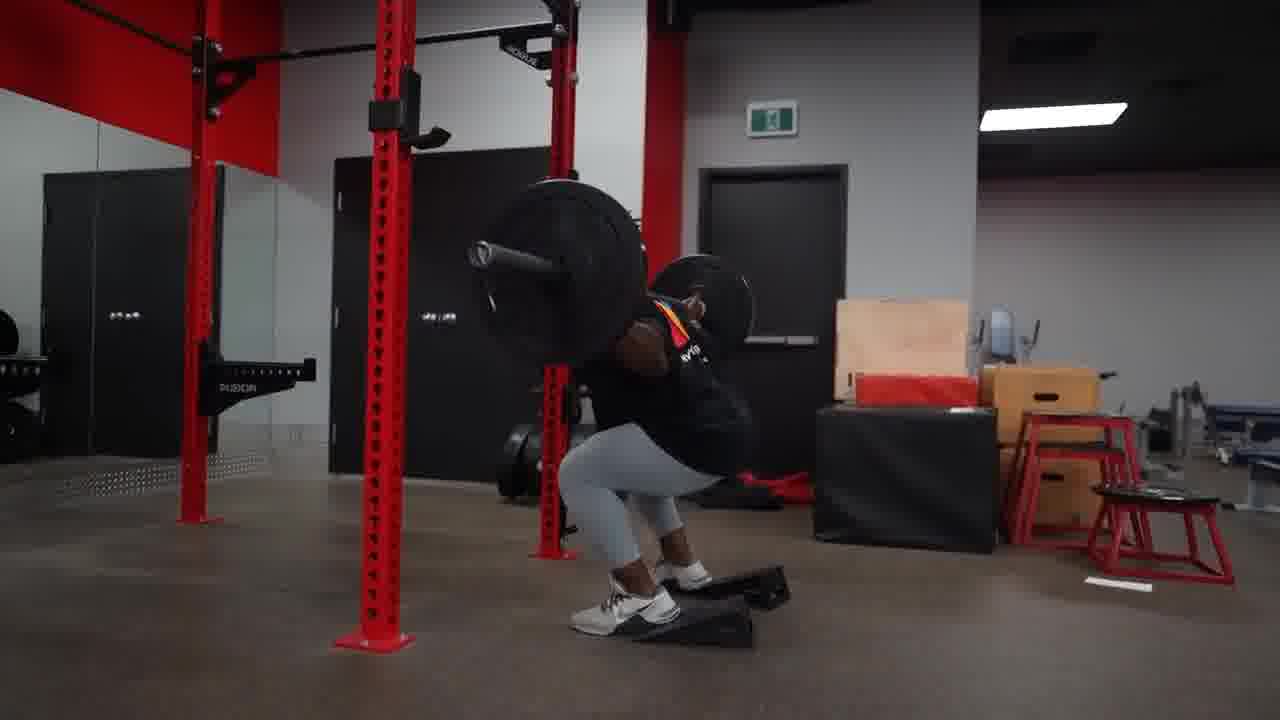 Squat Side View Keypoint Detection Dataset By Gymappsquatdataset