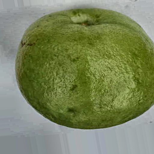 Guava Classification Dataset and Pre-Trained Model by test