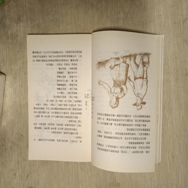 book Object Detection Dataset by project-iorgd