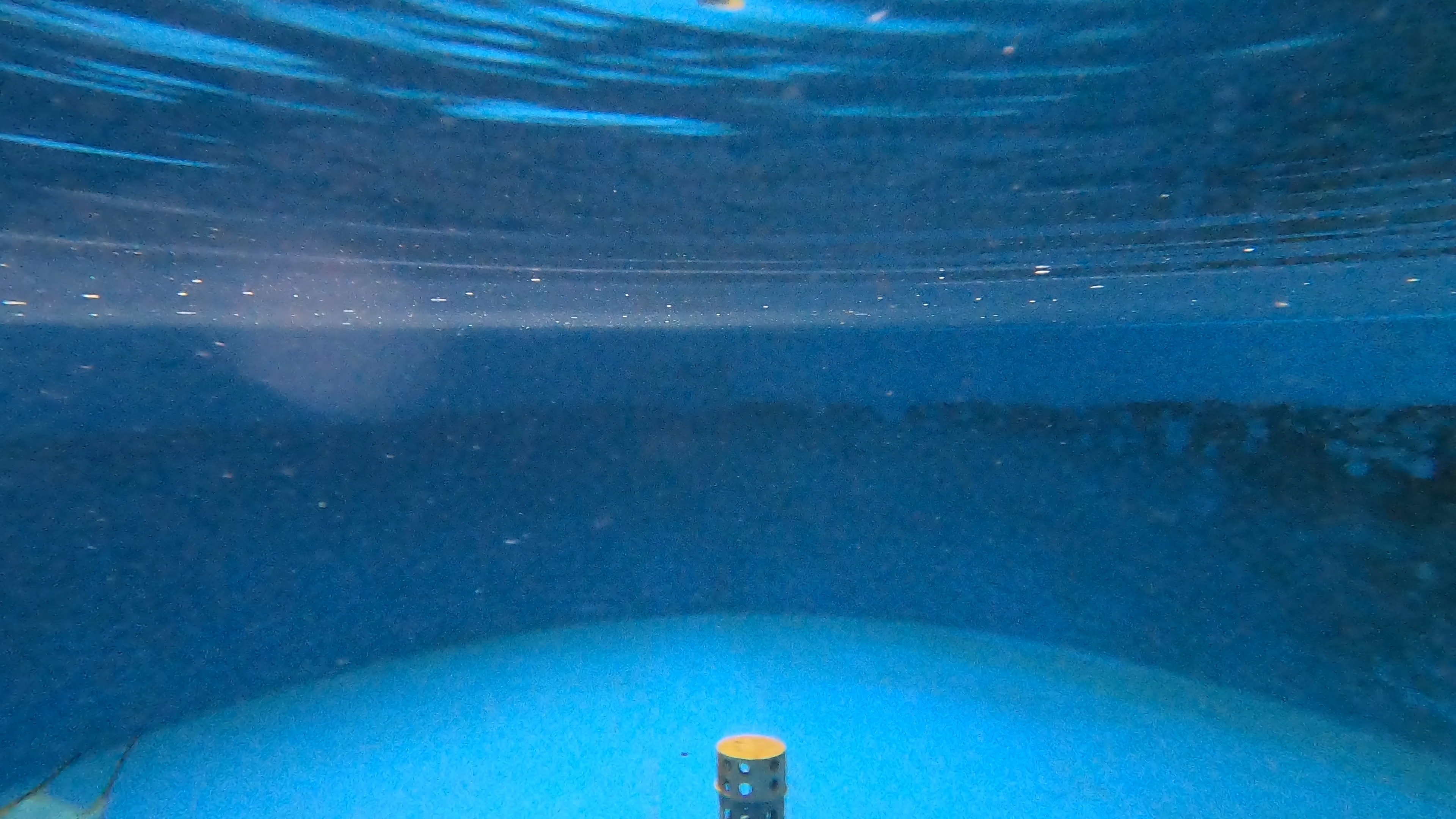 Object Detection Object Detection Ahs0j Roboflow Universe