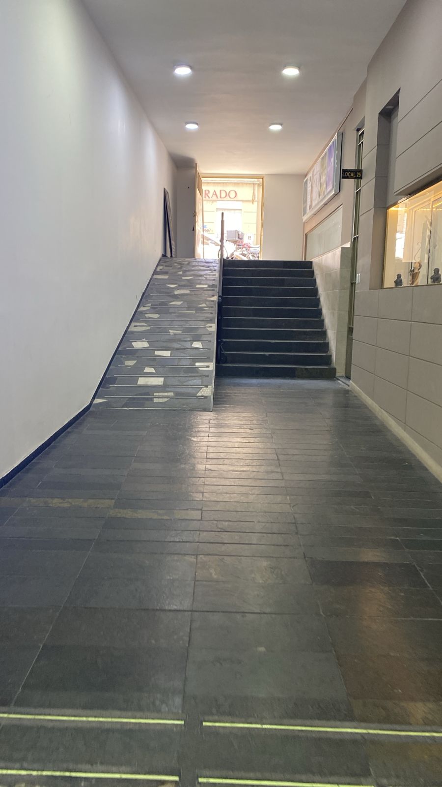 Ramps segmentation Instance Segmentation Dataset and Pre-Trained Model by Vision computacional