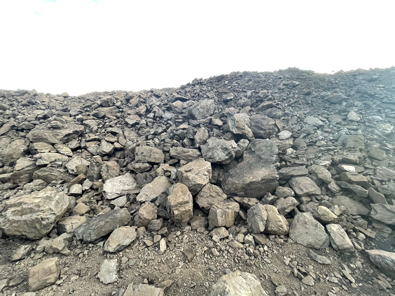 zeptian - Roboflow Universe