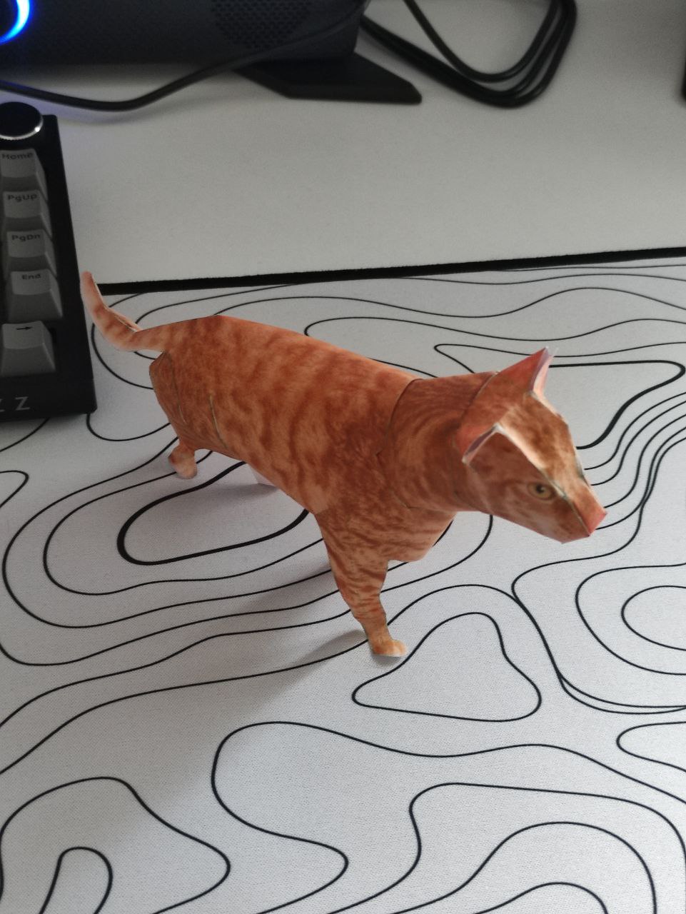 cat detector Object Detection Dataset by Animal Indonesia