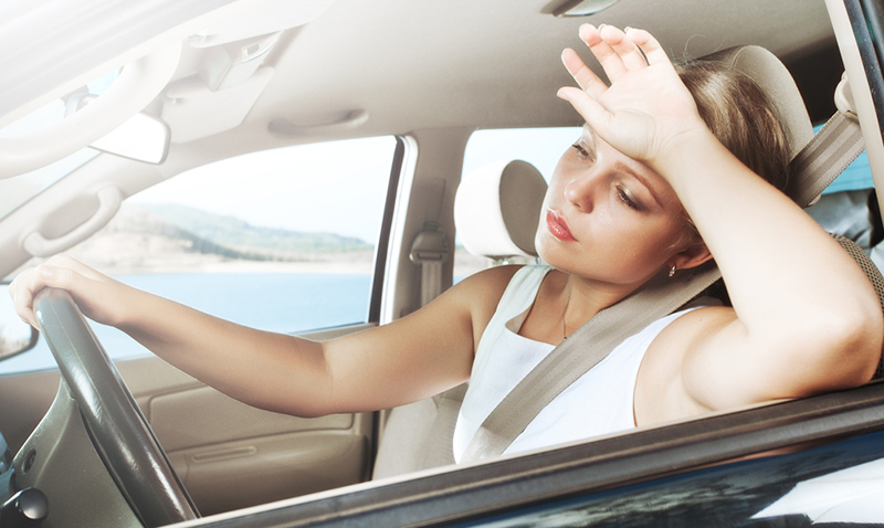 Drowsiness Detection Object Detection Model by rdd