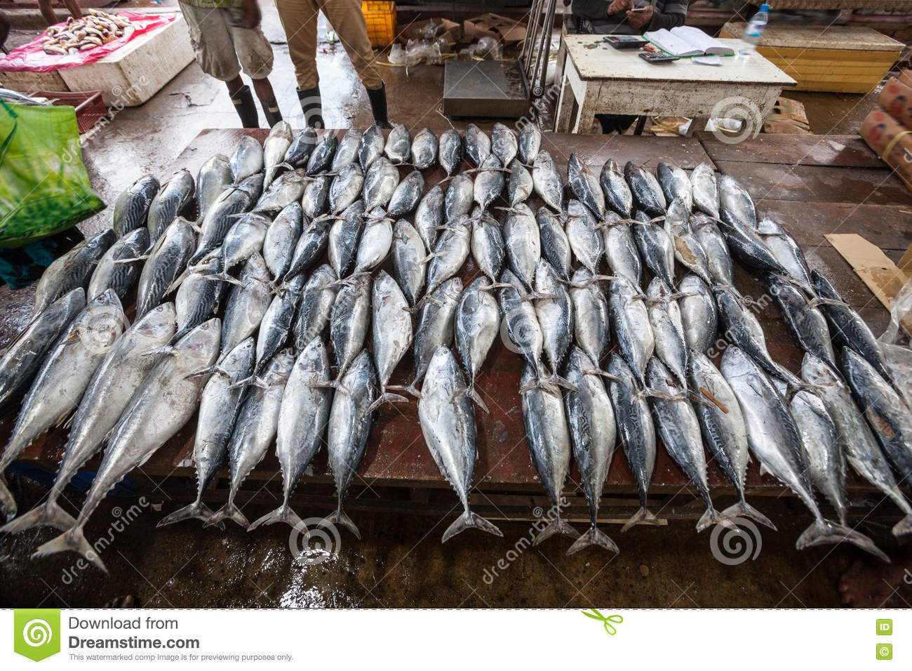 FISH Classification Dataset by SIH