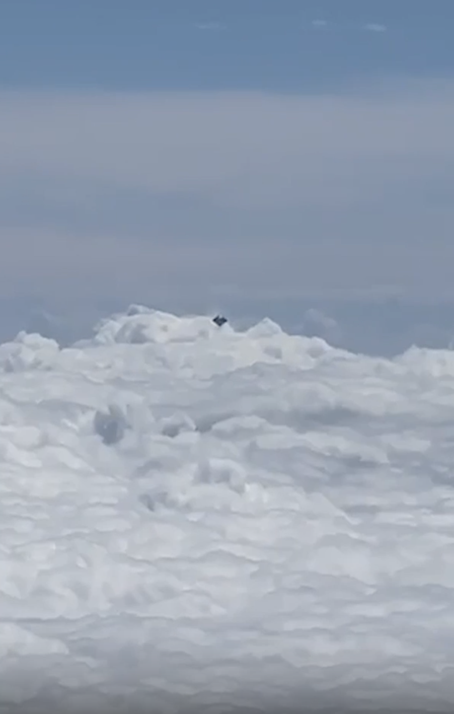 skyscan Object Detection Model by ScanUAP