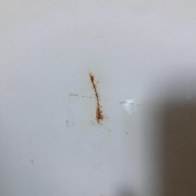 Corrosion Instance Segmentation Dataset by dddd