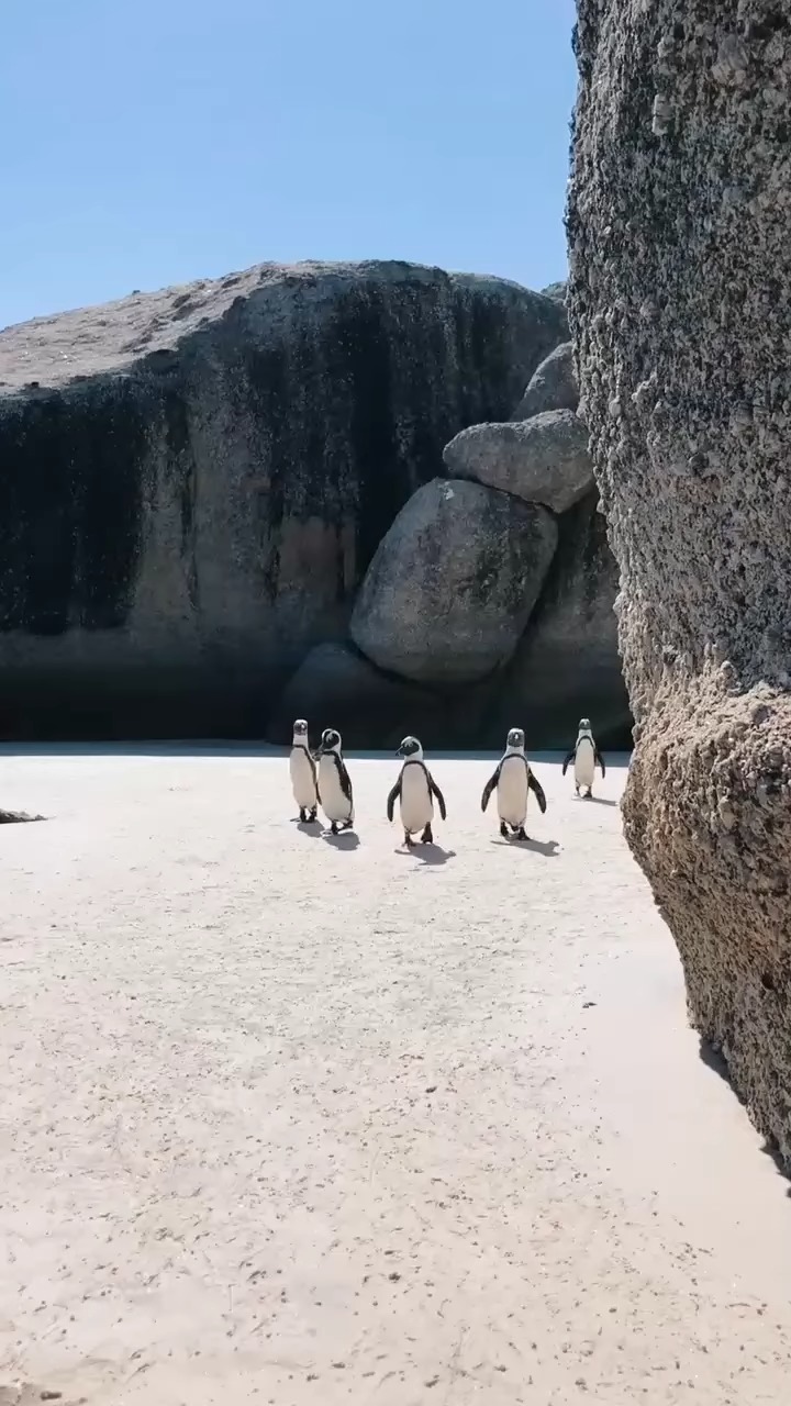 Beach Detection Object Detection Dataset By Suji