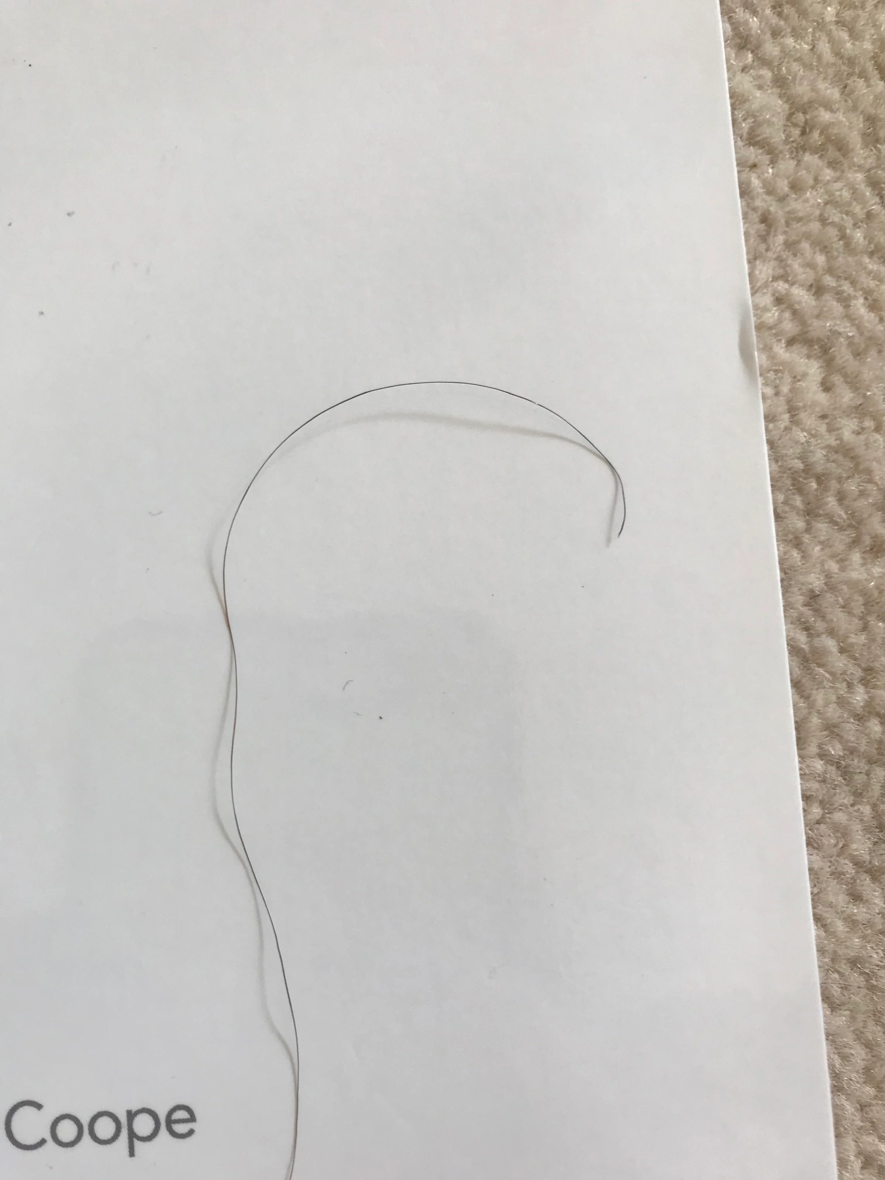 hair_yolov7_segmentation Instance Segmentation Dataset by Manish Kumar